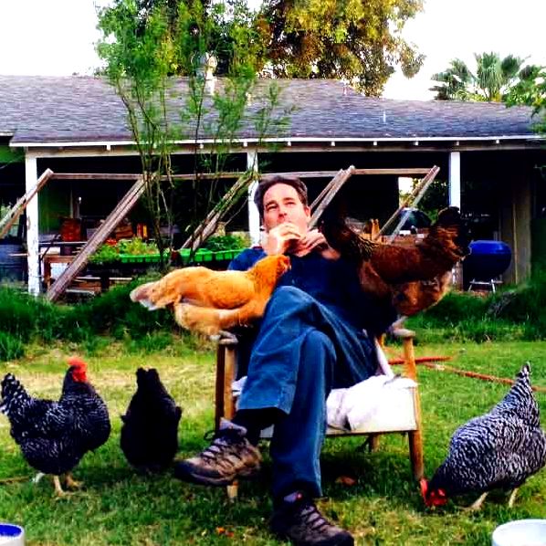 Chicken fun: tour de coops returns