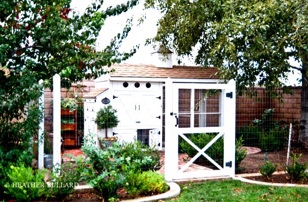 Chicken house plans - diy lean to & gable roof chicken coops
