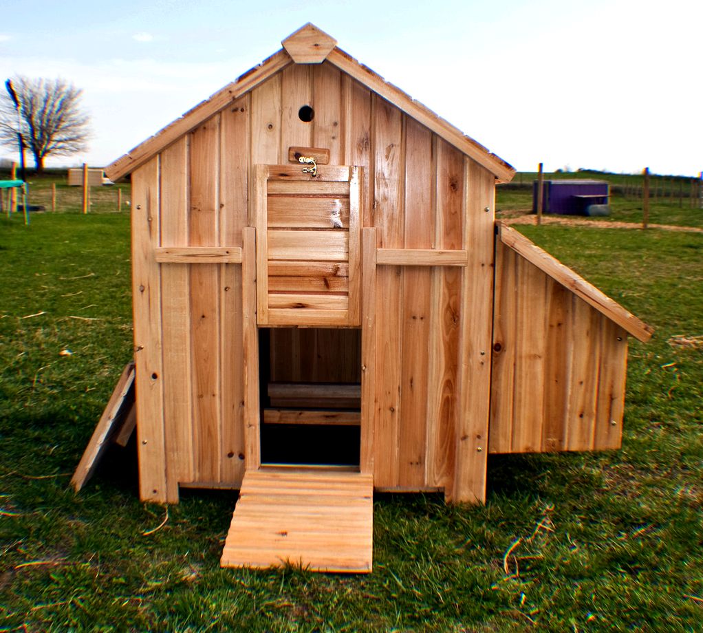 My chicken house strategy - fundamental chicken house provisions